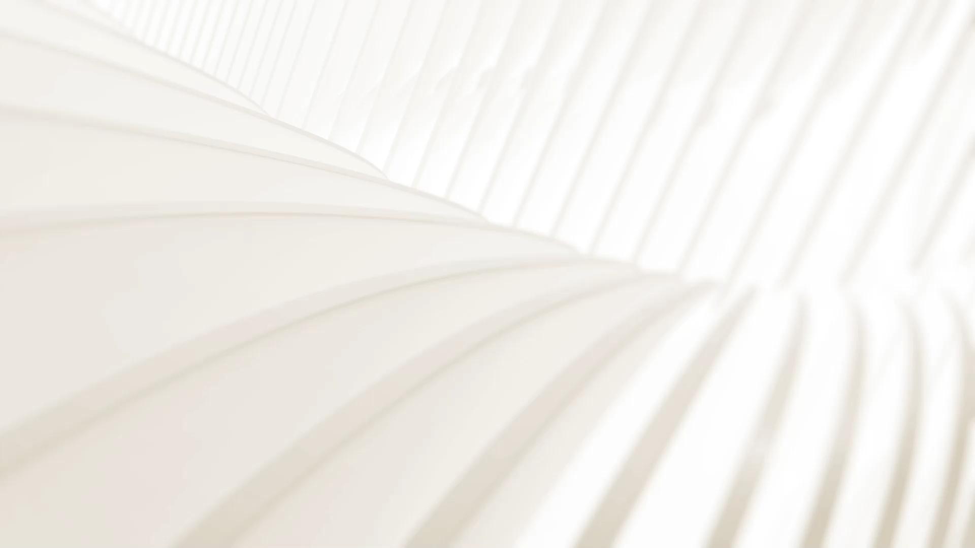 Falnas Capital - Falnas Capital